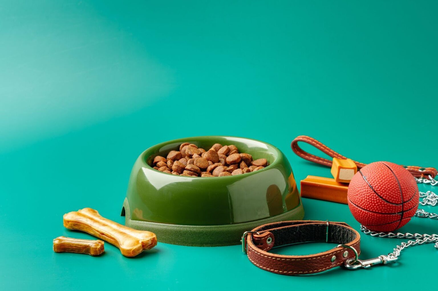 Eco-Friendly Pet Products: Sustainable Choices for Your Dog | Newsroom ...